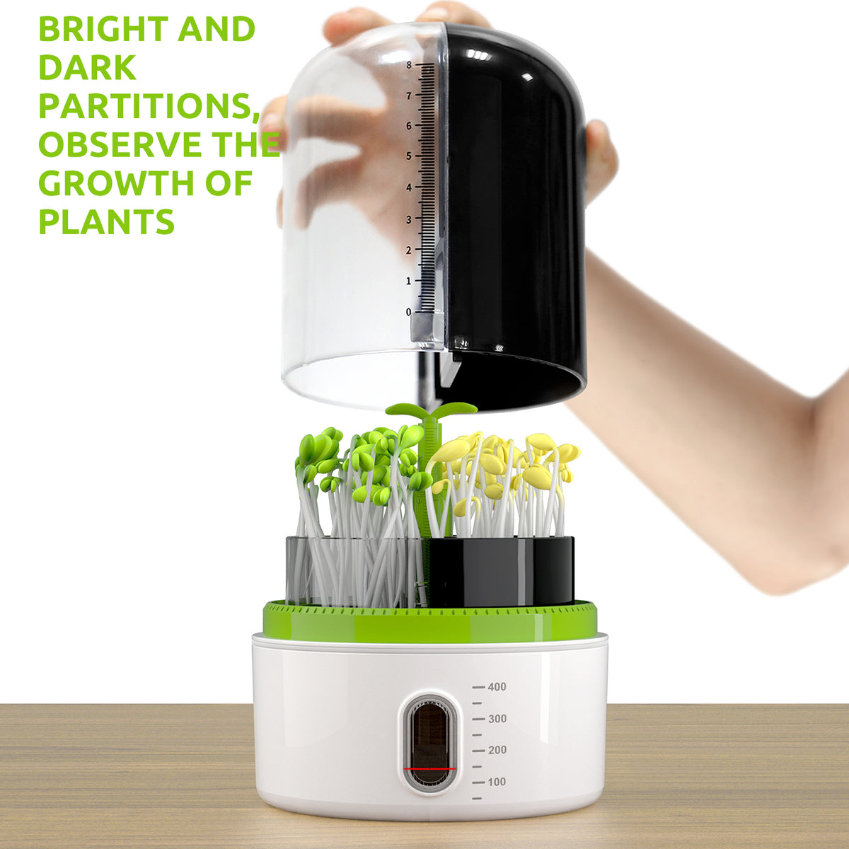 Plant Growth Station – Pufferbellies Toys & Books