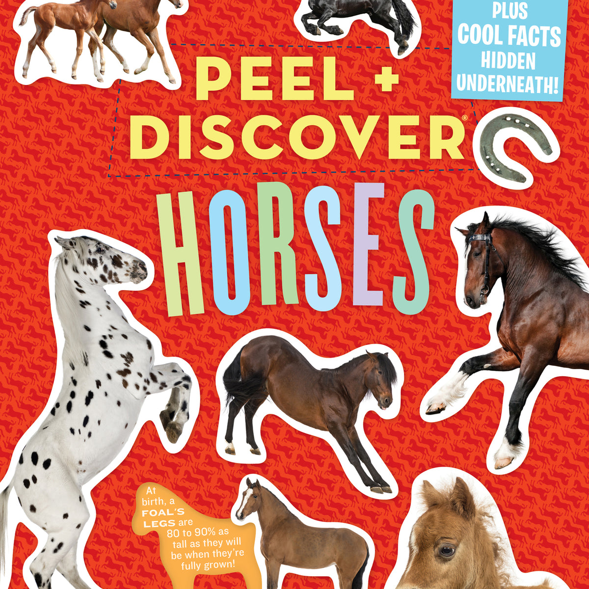 Peel + Discover: Horses – Pufferbellies Toys & Books