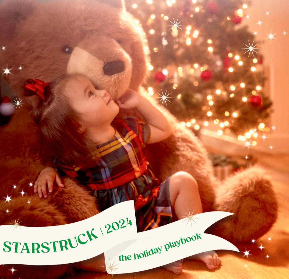 Pufferbellies Toys and Books in Staunton, Virginia – Pufferbellies Toys ...