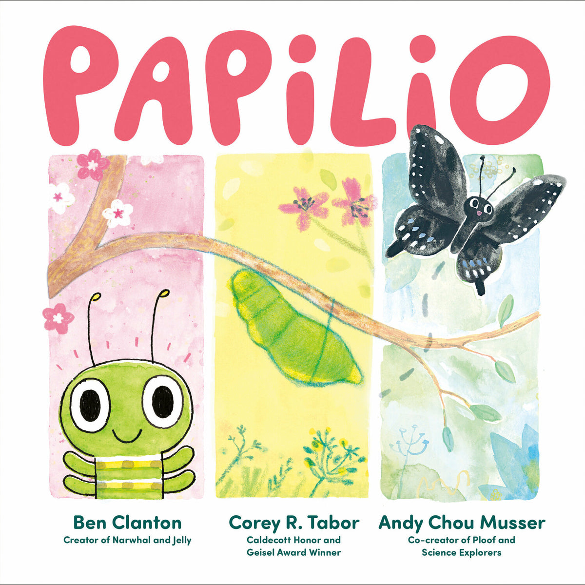 Papilio – Pufferbellies Toys & Books